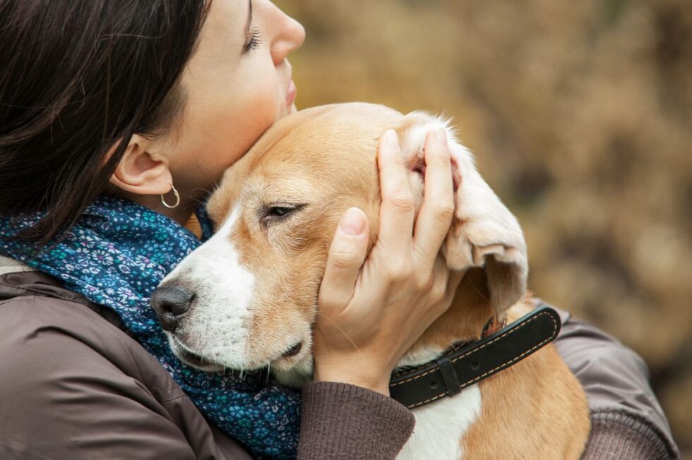 Euthanasia Consent Form | Guardian Paws Animal Hospital